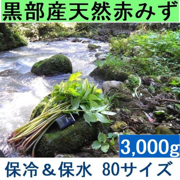 ※※※本州以外のお客様(北海道、九州、四国、離島)にお願い※※※常温(保冷剤入り)発送の為、到着までに2日以上かかる地域にお住まいの方々(北海道 、四国、九州、四国、沖縄、佐渡地域)にはノークレームノーリターン、若しくはクール商品をご購入頂...
