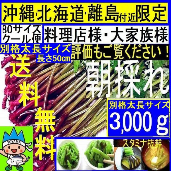 今までお届けできなかった地域のお客様へ　沖縄,北海道,離島付近限定！沢水洗浄の天然赤みず3ｋg【クール80サイズ送料無料】