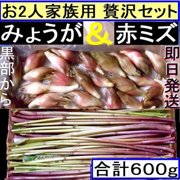 【本州以外のお客様(北海道、沖縄、離島)にお願い】　※常温発送の為、(関東 東海 近畿 北陸 信越)　以外の地域は　到着までに2日以上掛かり鮮度の保証ができかねない為　大変恐縮ですがご購入をお控え下さいます様お願いします。<m(__)...