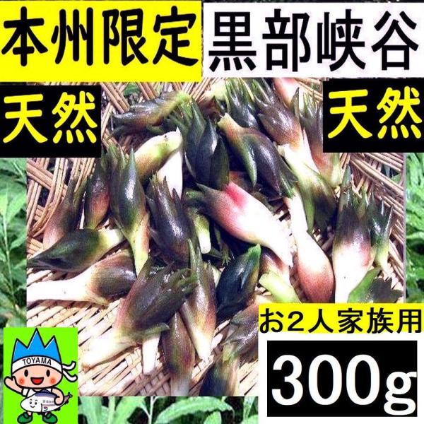 【本州以外のお客様(北海道、沖縄、離島)にお願い】　※常温発送の為、(関東 東海 近畿 北陸 信越)　以外の地域は　到着までに3日以上掛かり鮮度の保証ができかねない為　大変恐縮ですがご購入をお控え下さいます様お願いします。<m(__)...