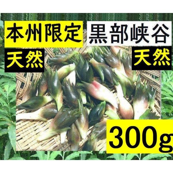 【本州以外のお客様(北海道、沖縄、離島)にお願い】　※常温発送の為、(関東 東海 近畿 北陸 信越)　以外の地域は　到着までに3日以上掛かり鮮度の保証ができかねない為　大変恐縮ですがご購入をお控え下さいます様お願いします。<m(__)...