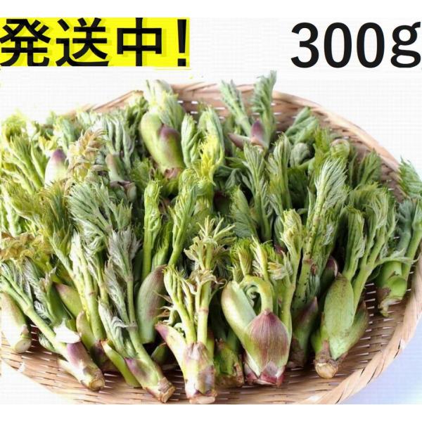 本年度のご予約はほぼ完了しましたのですぐにお送りできます♪　