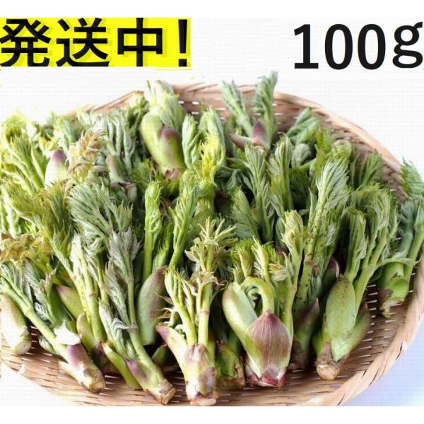 本年度のご予約はほぼ完了しましたのですぐにお送りできます♪　