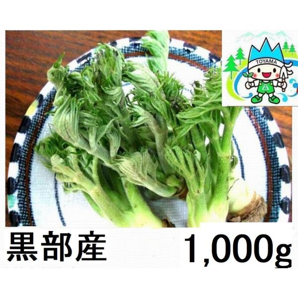 【発売日：2026年01月04日】