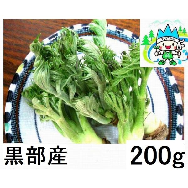 【発売日：2026年01月07日】