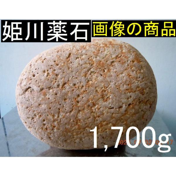【発売日：2026年01月20日】