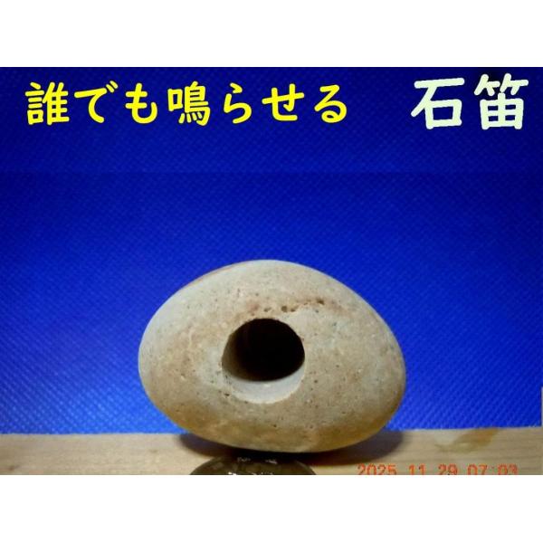 【発売日：2025年11月30日】