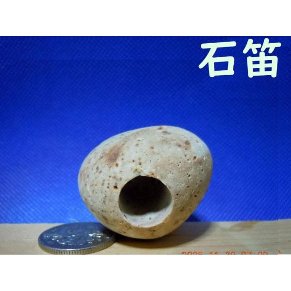 【発売日：2025年11月30日】