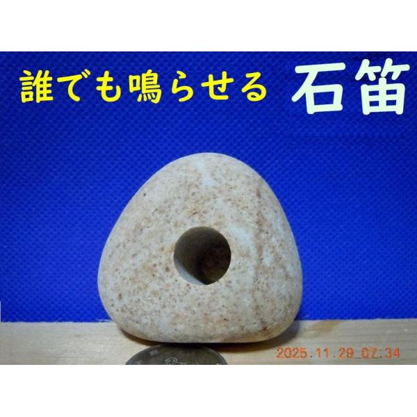 【発売日：2025年12月01日】