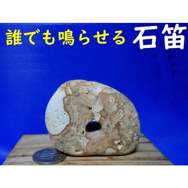 【発売日：2025年11月25日】