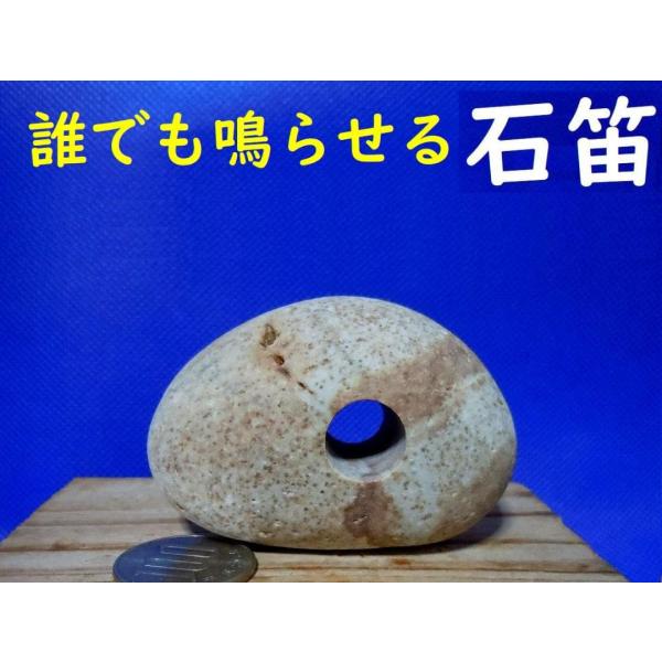 【発売日：2025年11月25日】