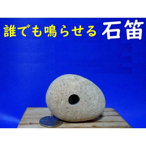 【発売日：2025年11月25日】