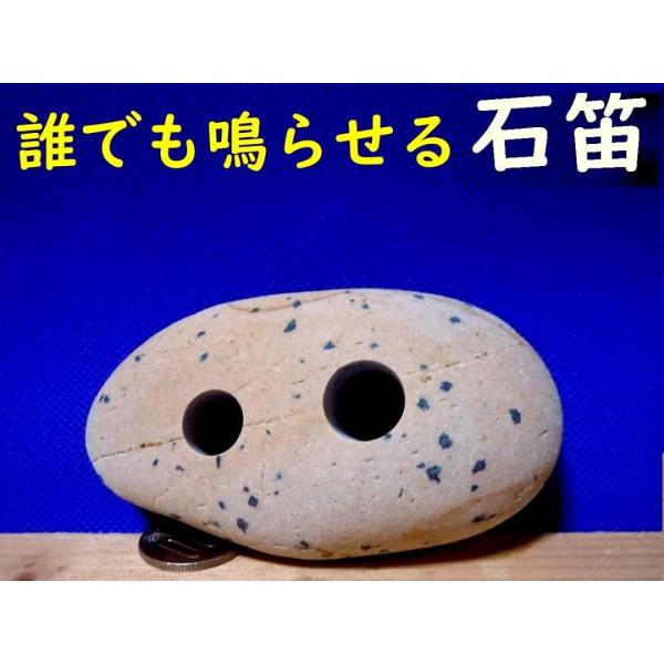 【発売日：2025年12月04日】