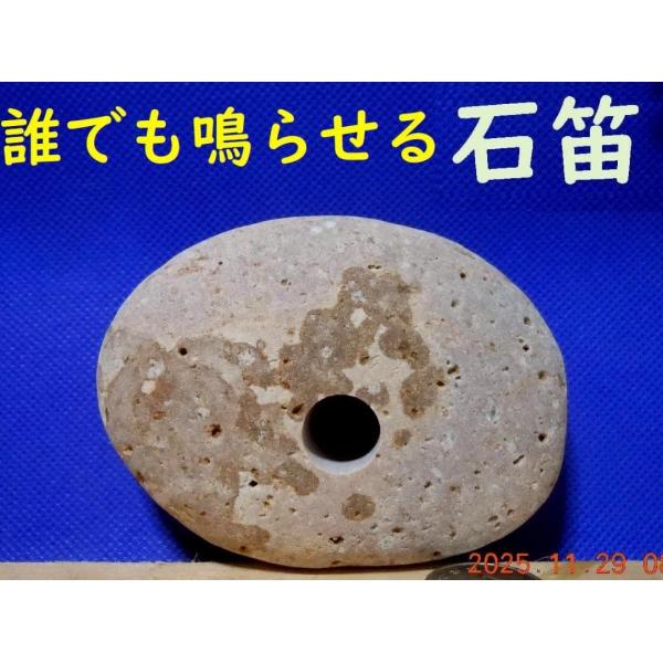 【発売日：2025年12月04日】