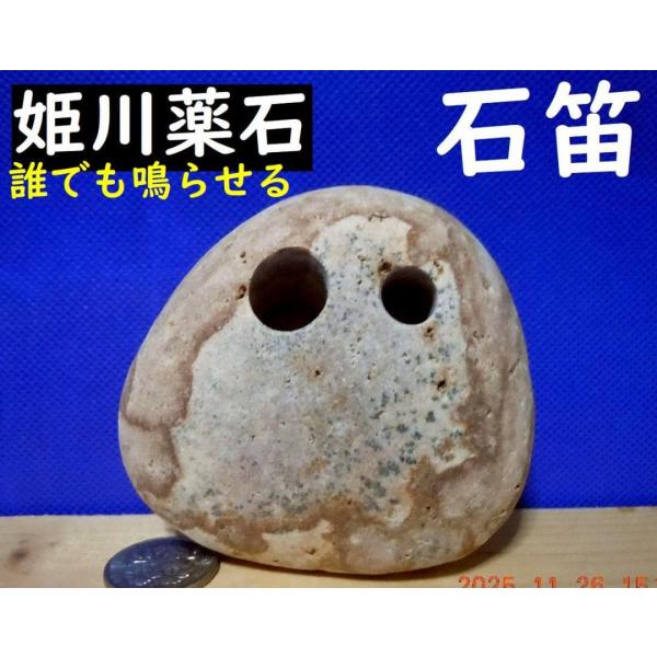 【発売日：2025年11月25日】