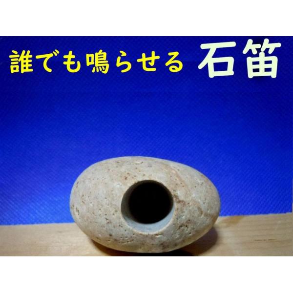 【発売日：2025年12月01日】