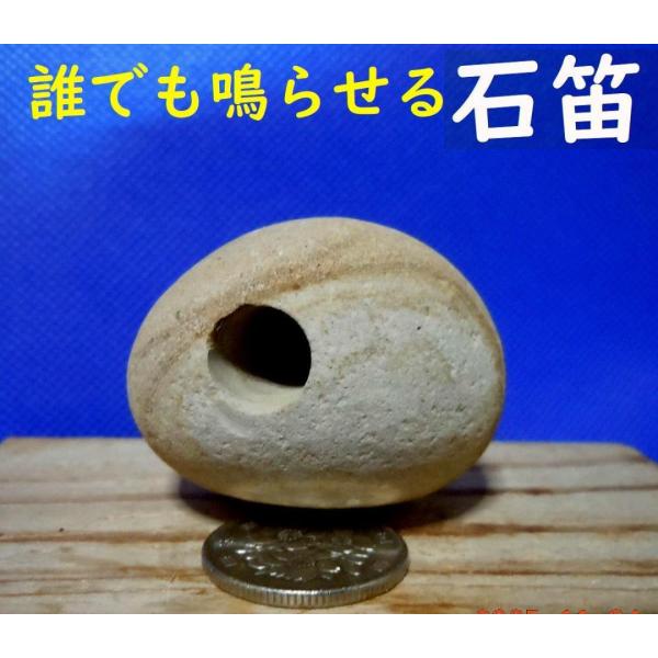 【発売日：2025年11月24日】