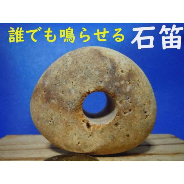 【発売日：2025年11月25日】