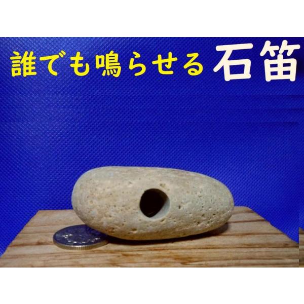 【発売日：2025年11月25日】