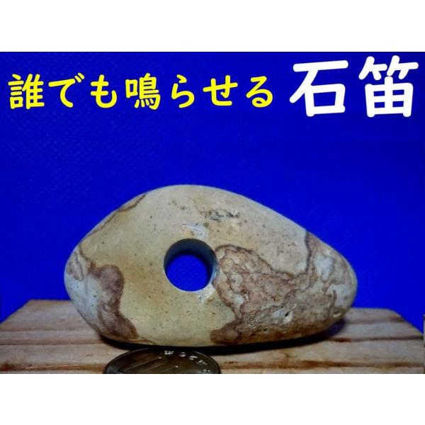 【発売日：2025年11月25日】