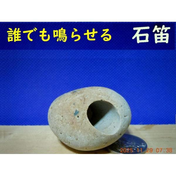 【発売日：2025年12月01日】