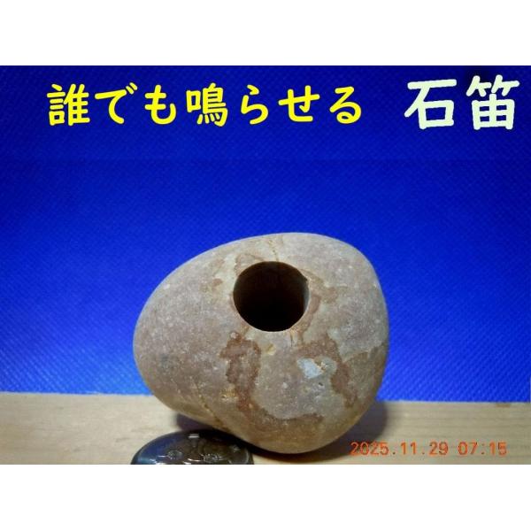 【発売日：2025年12月01日】