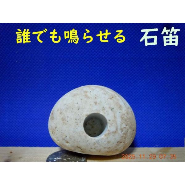 【発売日：2025年12月01日】