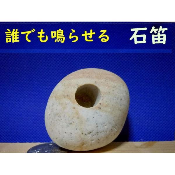 【発売日：2025年12月01日】