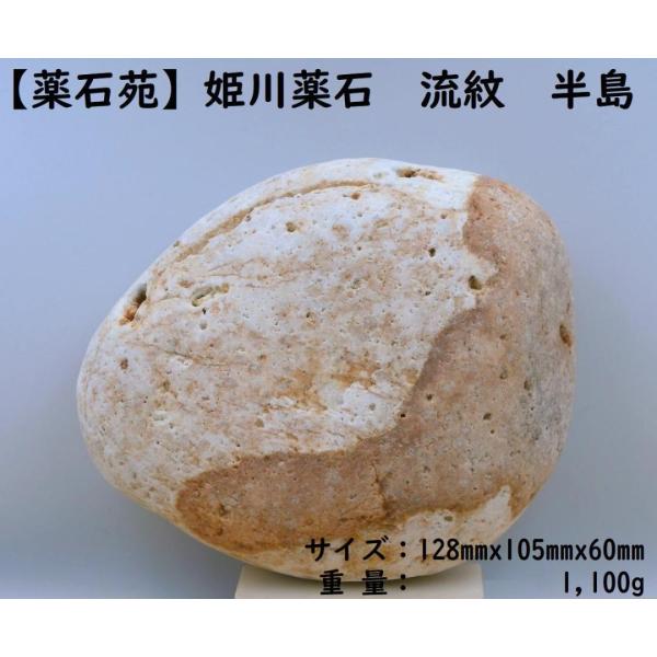 【発売日：2026年01月10日】