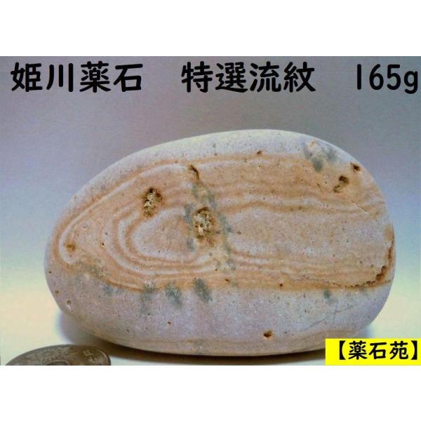 【発売日：2026年01月10日】