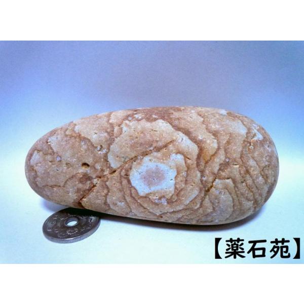 ※大人気の特上虎模様の薬石です♪※自然界の経年により作成された天然のツボ押し風の薬石です。