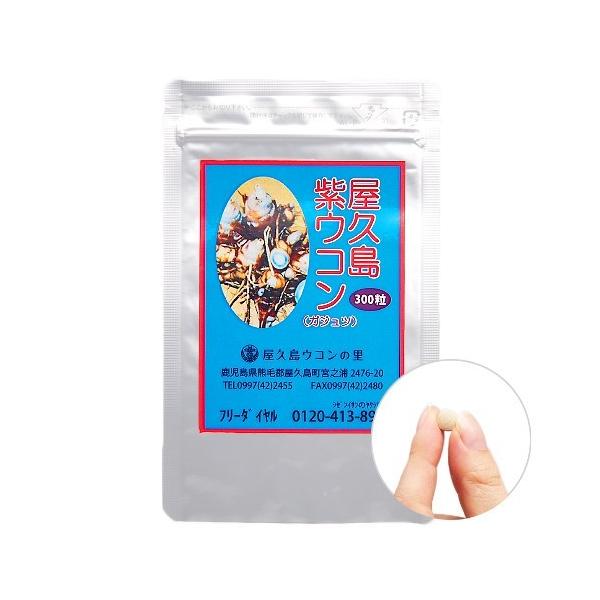 ・ガジュツ(紫ウコン)粒タイプ 300粒・原材料 ガジュツ(紫ウコン)粉末・セルロース・1粒0.25ｇ 約1か月分・1日10粒程度を目安に2〜3回に分けて、水またはお湯でお召し上がりください・ウコン栽培から製造・ウコン粉末、粒づくりに至るす...