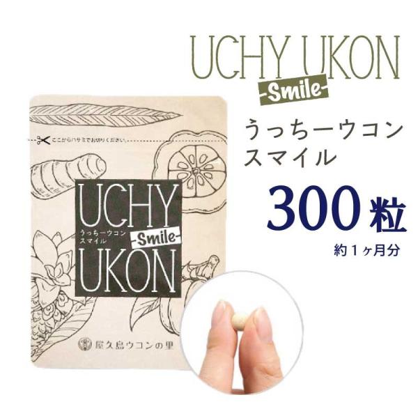 ガジュツ(紫ウコン)・春ウコンにガルシニアをブレンドした燃焼系サプリメントです。1粒0.2g、300粒入り・約1か月分です原材料 ガジュツ(紫ウコン)・春ウコン・ガルシニア・セルロースウコン栽培から製造・ウコン粉末、粒づくりに至るすべての工...