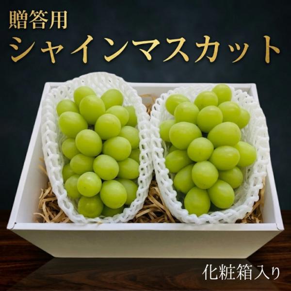 【発売日：2026年07月25日】箱を開けた瞬間、伝わる上質さ
