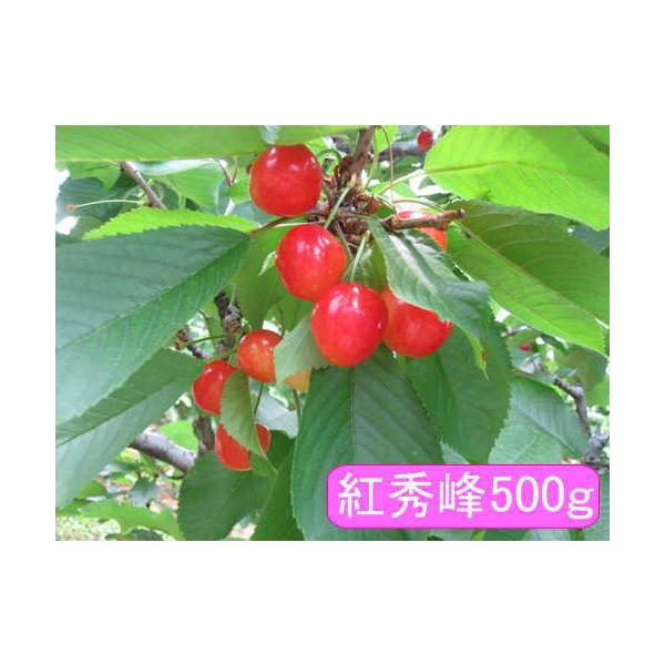 【生産元直送品/もぎたて即日発送】山梨県南アルプス産さくらんぼ　バラ化粧箱入　500ｇ　品種：紅秀峰　※Ｌサイズ以上の大きめ粒が入ります。色艶も綺麗な実。生産者：山の果樹園さん　南アルプス市のかなり山奥にひらけた広大なさくらんぼ畑。標高が高...