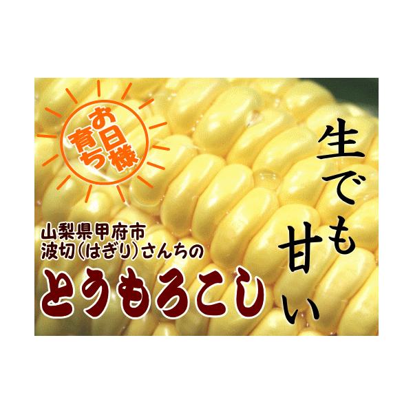 【発売日：2007年06月10日】とうもろこし（６本入）2L〜3Lサイズ１箱（12本）品種：ゴールドラッシュを予定　■賞味期限■常温で約３日程度　生産者：山梨県笛吹市境川町の契約農家さん、JA管轄の生産者　■配送■宅配便（常温）クール便指定...