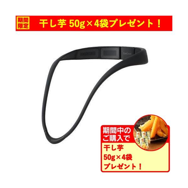 パナソニック　EW-RA520-K　高周波治療器　コリコランループ　首にかけてコリをとる　Type-C充電式　ブラック 46