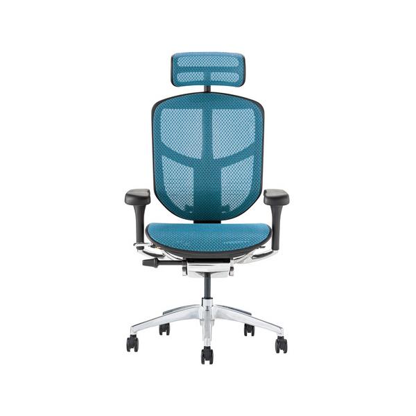 Ergohuman　Enjoy2　エルゴヒューマン　エンジョイ2　EJ2-HAM-BF-BL　ブラックフレーム×ブルーメッシュ　ハイバック 448