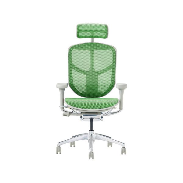 Ergohuman　Enjoy2　エルゴヒューマン　エンジョイ2　EJ2-HAM-BF-BK　グレーフレーム×グリーンメッシュ　ハイバック 448