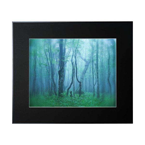 ギヤラリ-AGY-Z-BK　ケンコー　ギャラリー　全紙　ブラック　AGY-Z-BK 317