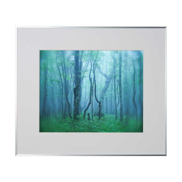 ギヤラリ-AGY-H-SV　ケンコー　ギャラリー　半切　シルバー　AGY-H-SV 317