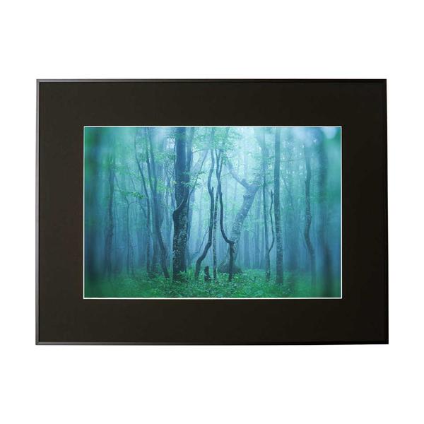 ギヤラリ-AGY-A3N-BK　ケンコー　ギャラリー　A3ノビ　ブラック　AGY-A3N-BK 317