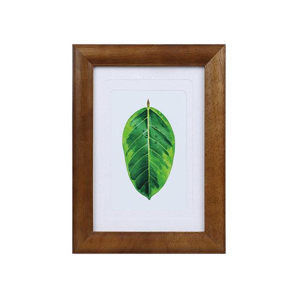 ゴムノキ　PS-GM-BR　ケンコー　写真立て　ゴムの木　ブラウン　PSGMBR 317