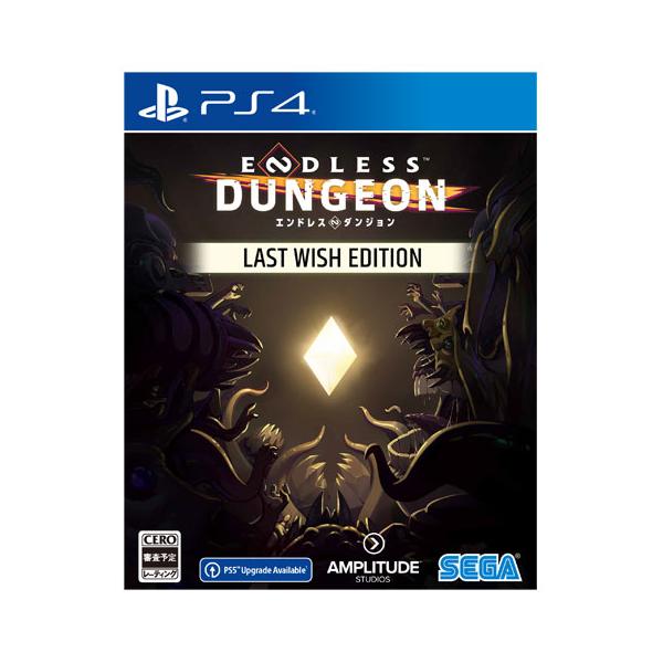 ENDLESS(TM）　Dungeon　Last　Wish　Edition　PS4　PLJM-17208 80