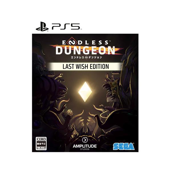 ENDLESS(TM）　Dungeon　Last　Wish　Edition　PS5　ELJM-30273 80