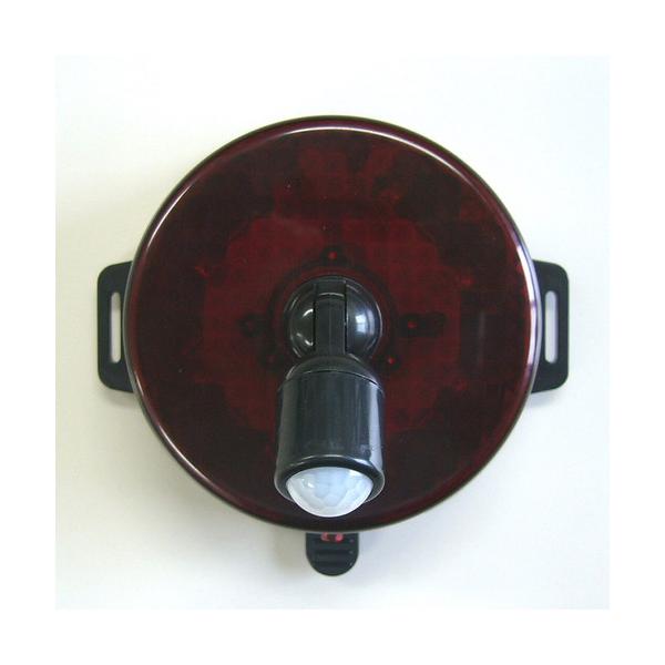 リーベックス　SLR100　スーパーパトピカ 50