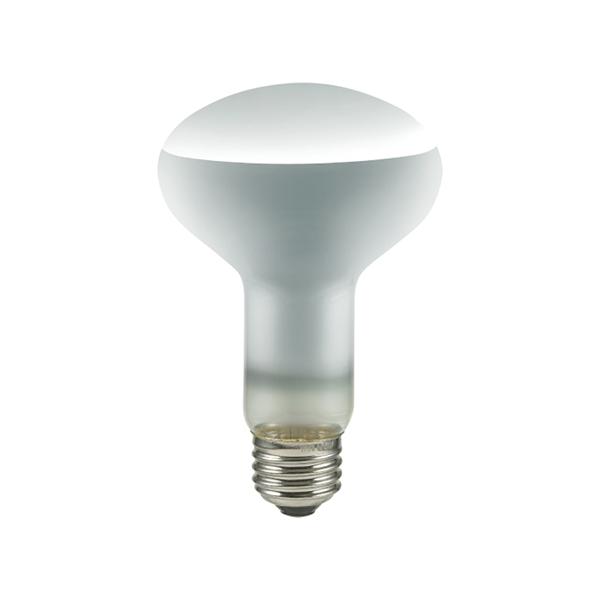 エルパ　ERF110V100W-L　長寿命レフランプ　100W 71