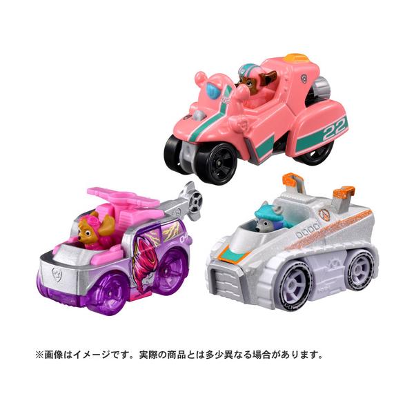 タカラトミー　パウ・パトロール　ダイキャストビークル　スペシャルコレクション　スカイ／エベレスト／リバティ 885