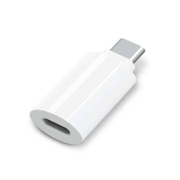 PGA　PG-LNCS02WH　Lightning　to　USB　Type-C　変換アダプタ　アルミ　USB　PD45W対応　ホワイト 500