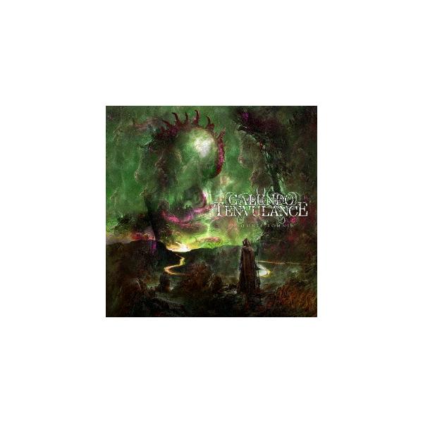 【CD】Galundo　Tenvulance　／　INSOMNIS　SOMNIA 260